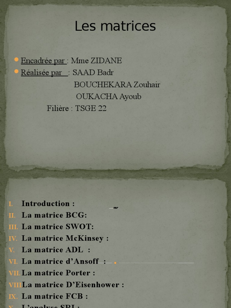 Les Matrices | PDF | Économie | Économie d'entreprise