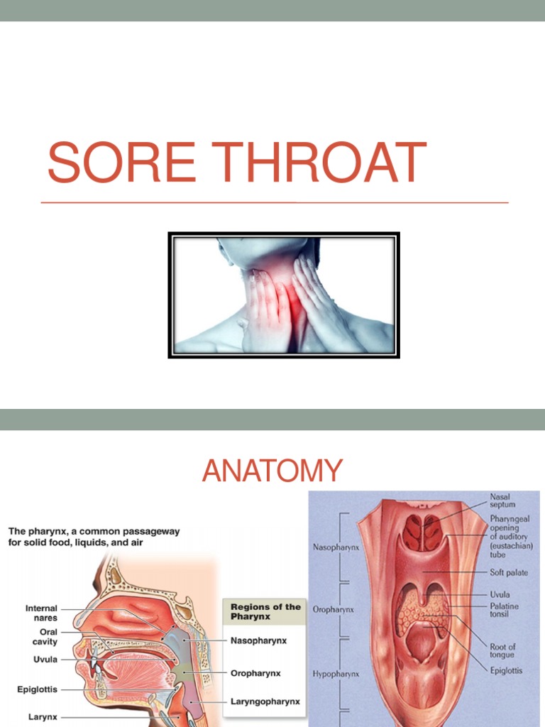 Sore Throat | PDF | Gastroesophageal Reflux Disease | Esophagus