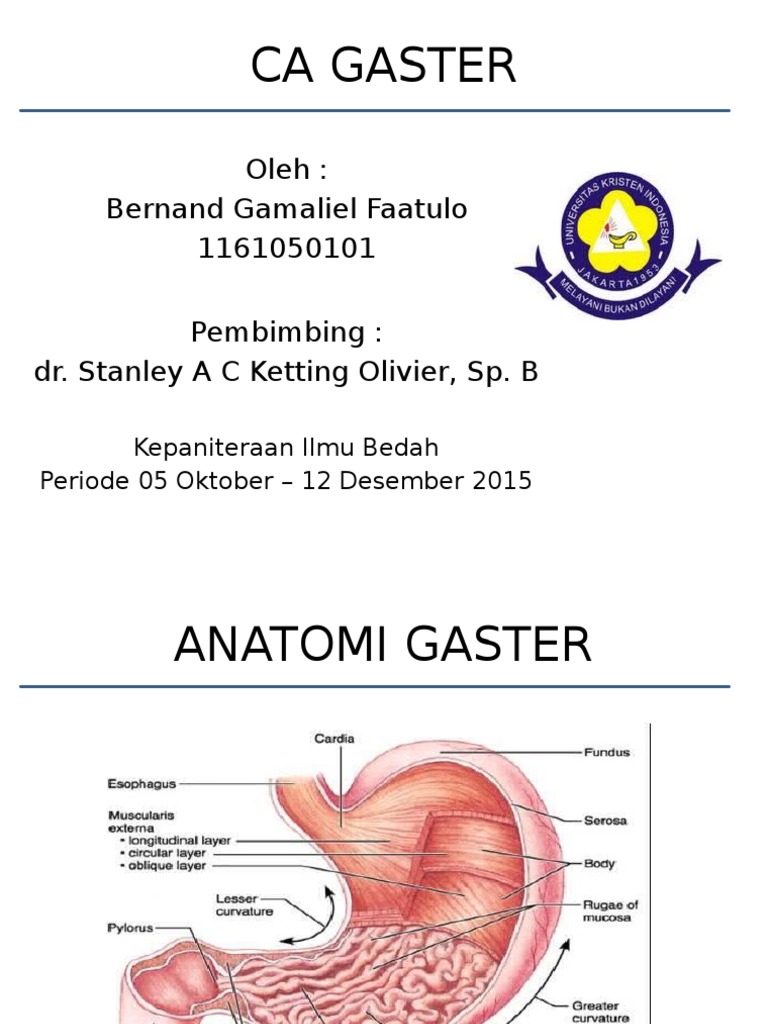 Ca Gaster | PDF | Pengembangan Diri | Kesehatan Holistik