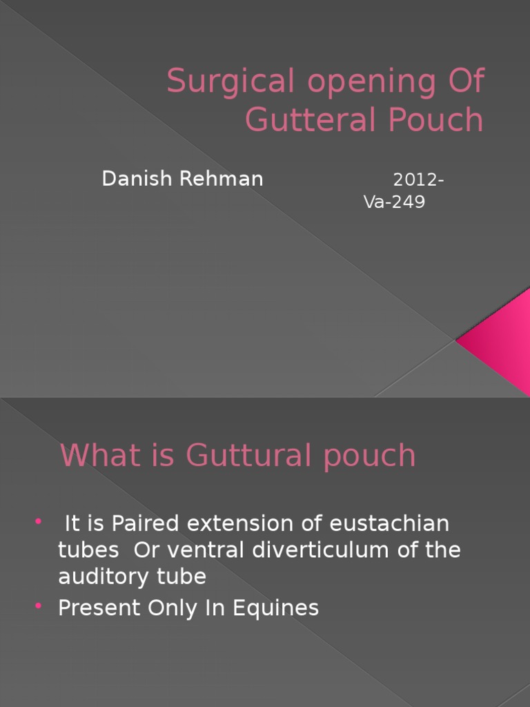 Surgical Opening of Gutteral Pouchh | PDF | Anatomy | Medical Specialties
