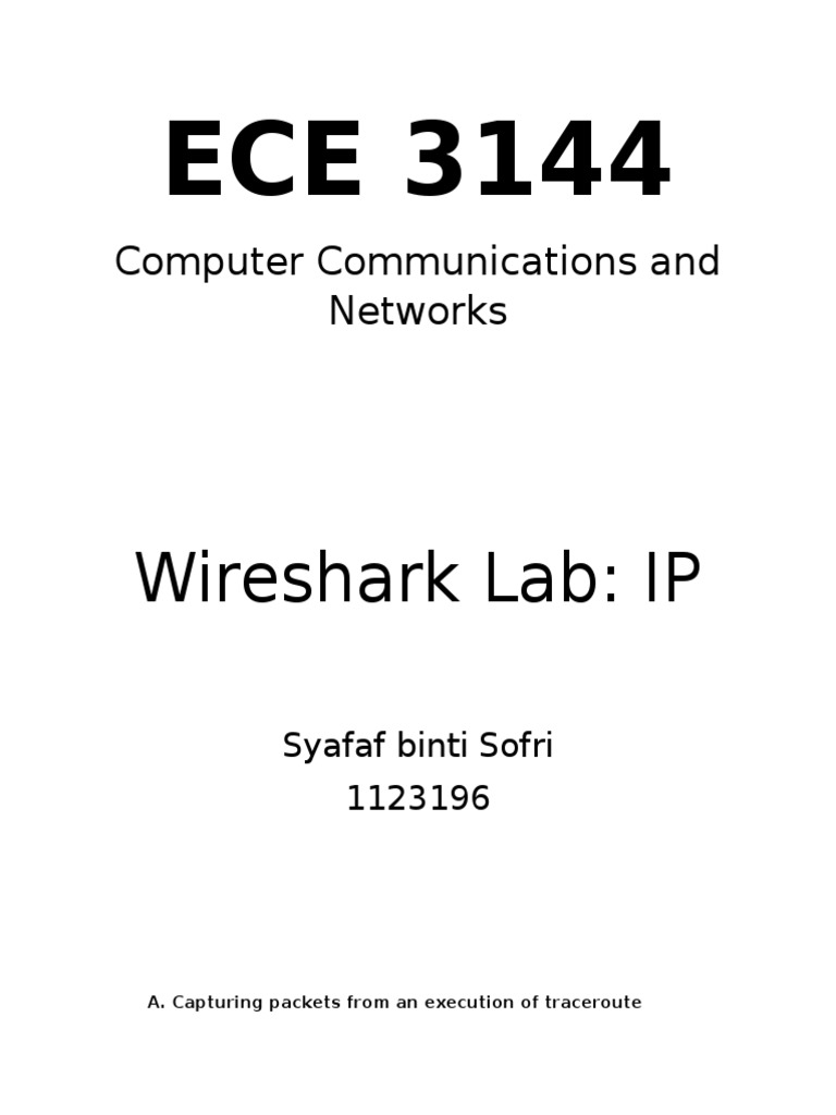IP Wireshark Lab Solution | PDF | Internet Protocols | Network Packet