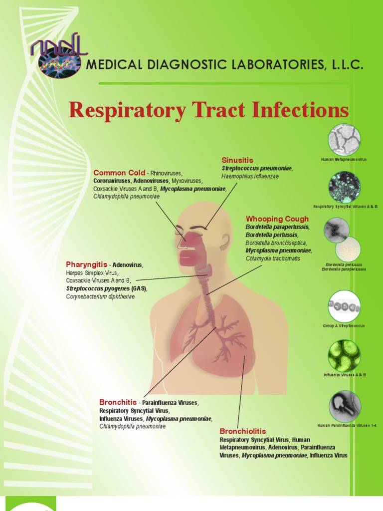 Respiratory Tract Infections | Influenza | Influenza Pandemic