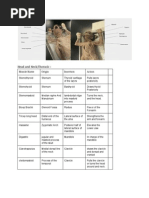 Myology Notes | PDF | Foot | Human Leg