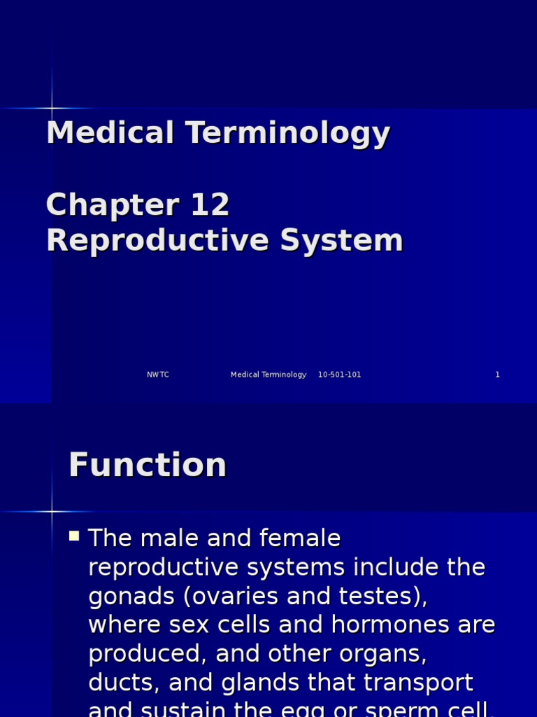 Medical Terminology: Reproductive System | PDF | Sexually Transmitted ...