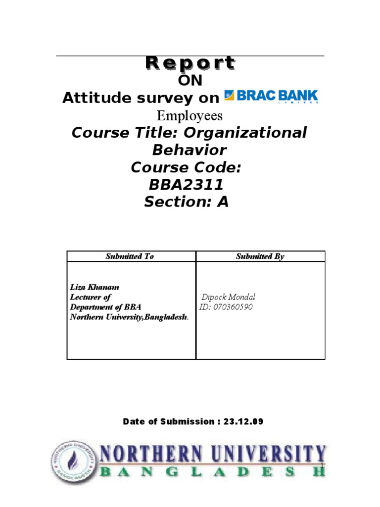 Attitude Survey On Employees | PDF | Job Satisfaction | Contentment