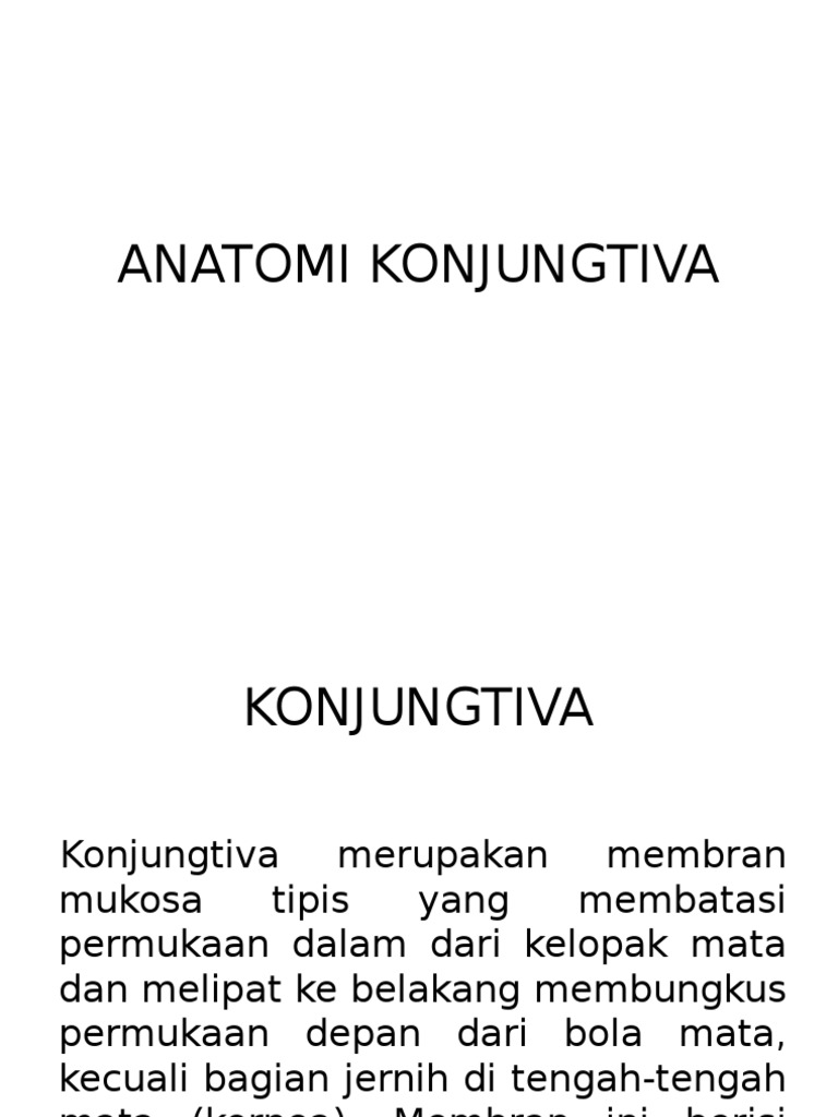 Anatomi Konjungtiva | PDF