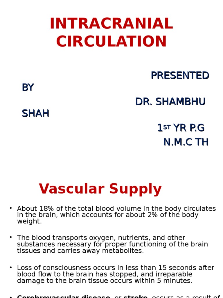 Intracranial Circulation Overview | PDF | Frontal Lobe | Parietal Lobe
