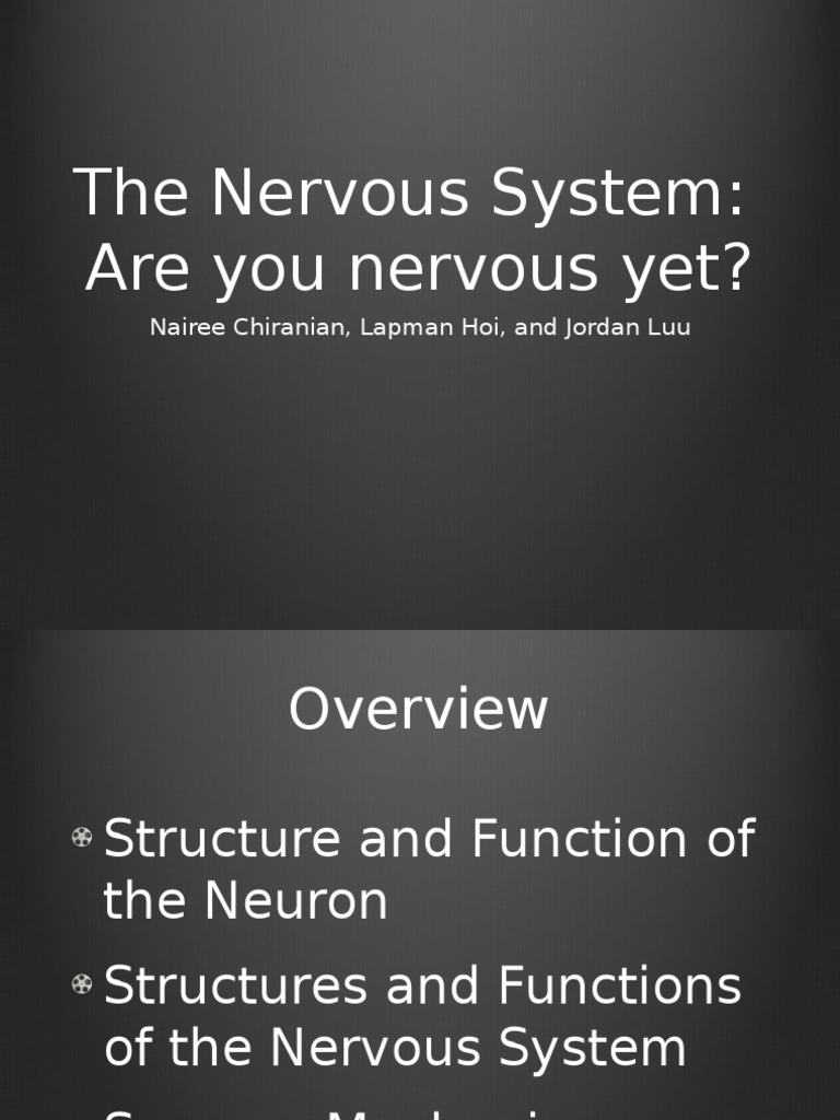 Nervous System Powerpoint | PDF | Central Nervous System | Neuron