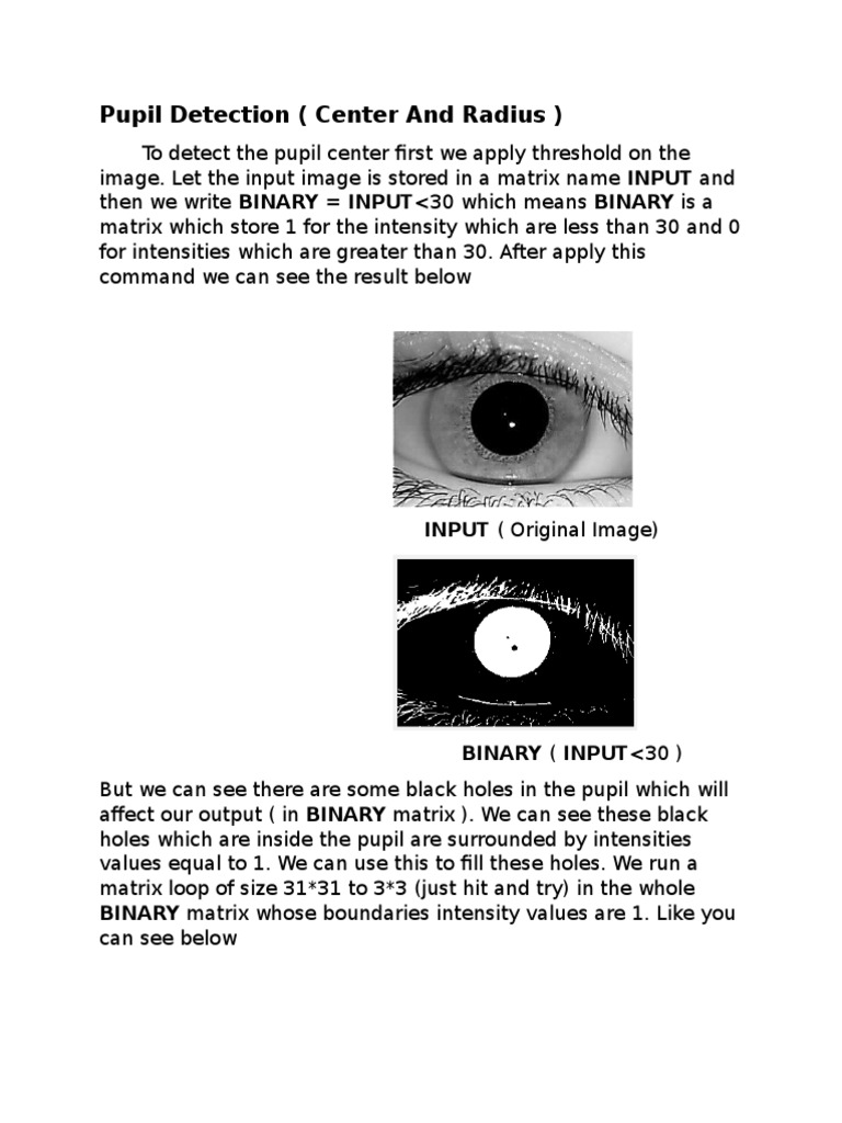 Pupil Detection (Center and Radius) : Binary (Input 30) | PDF | Image Segmentation | Matrix ...