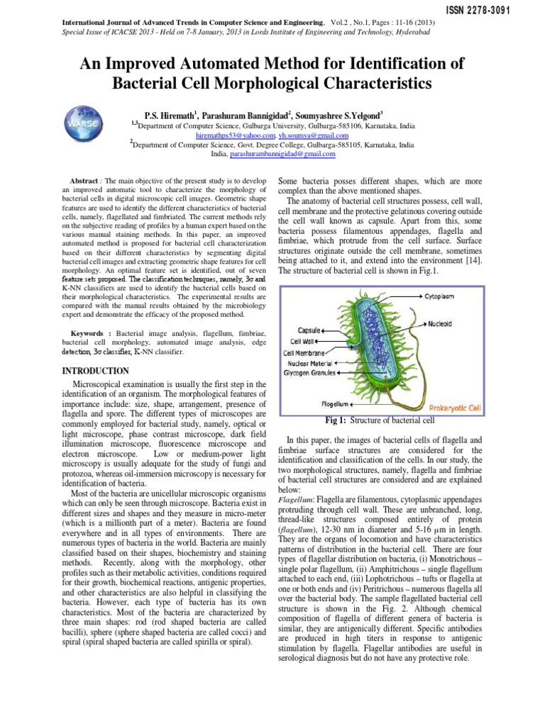 An Improved Automated Method For Identification of Bacterial Cell ...