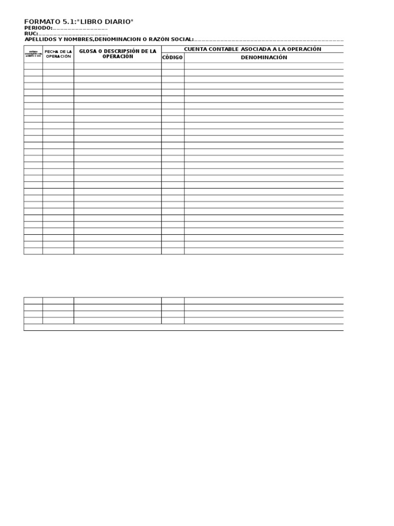 Formato Libro Diario | PDF