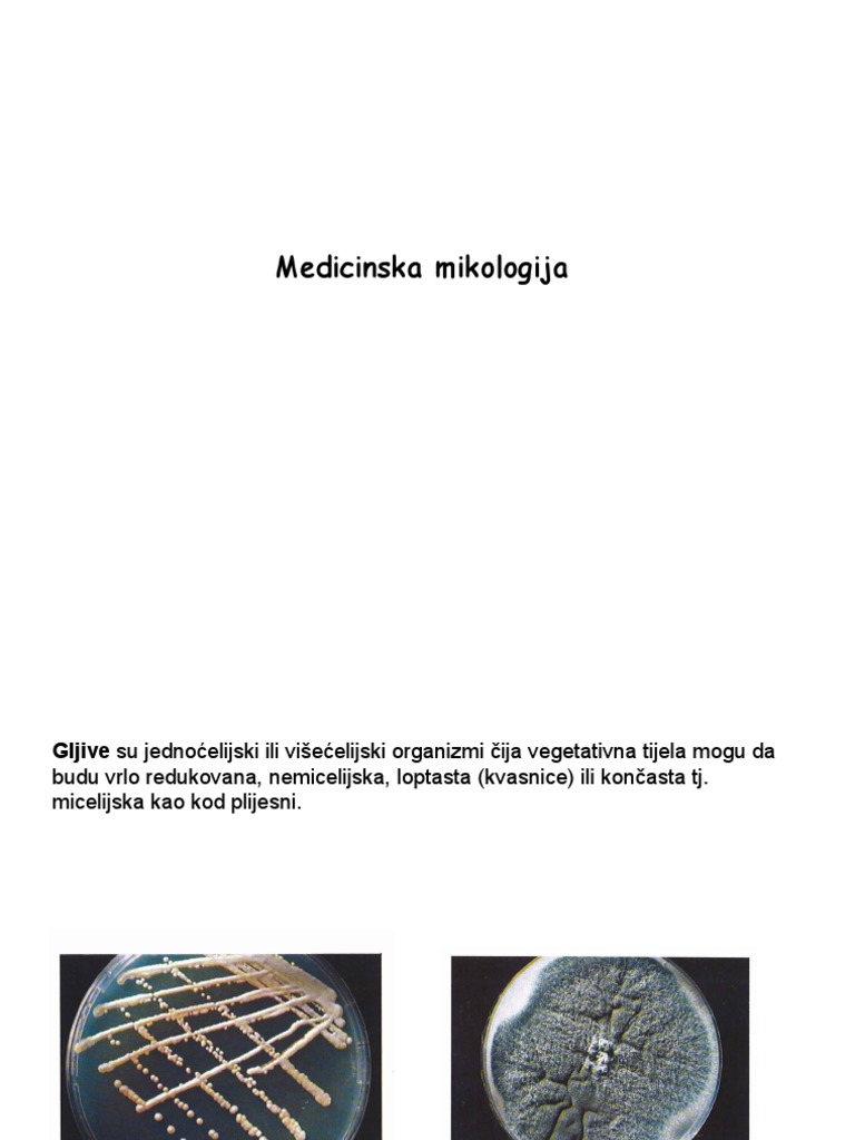 Gljive | PDF