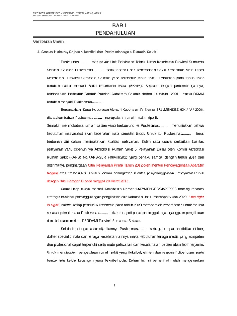 Contoh RBA Puskesmas | PDF