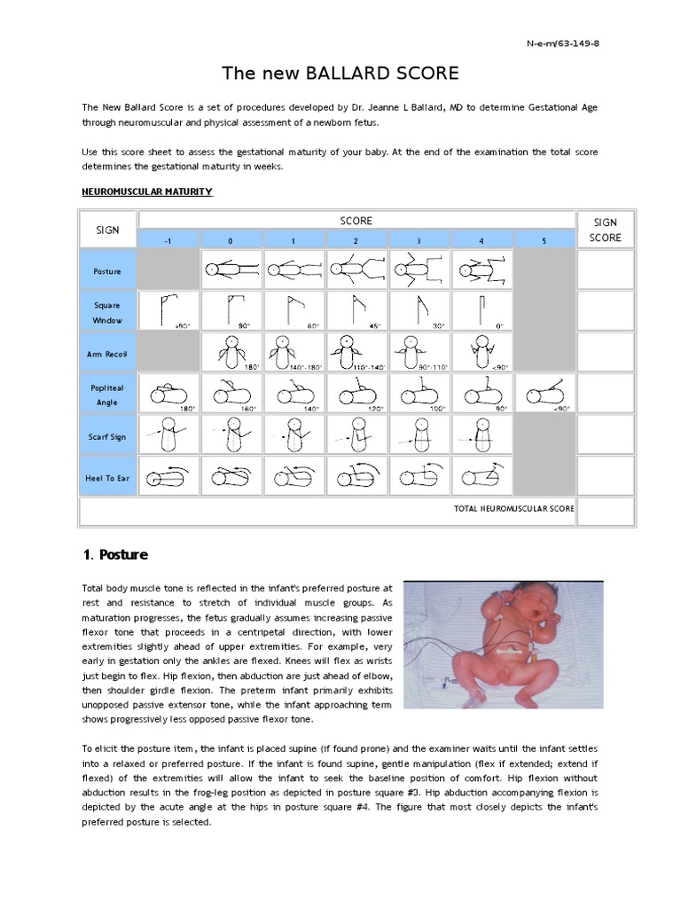 Ballard Score | Anatomical Terms Of Motion | Elbow