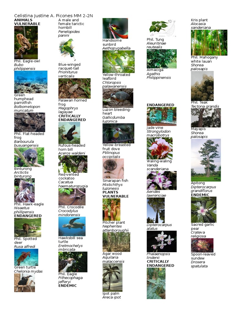 Endangered and Vulnerable Species List | PDF | Science & Mathematics