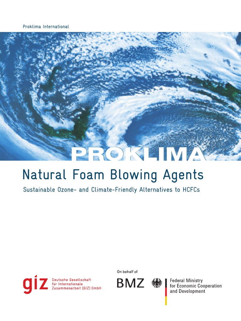 Natural Foam Blowing Agents | Chlorofluorocarbon | Polyurethane