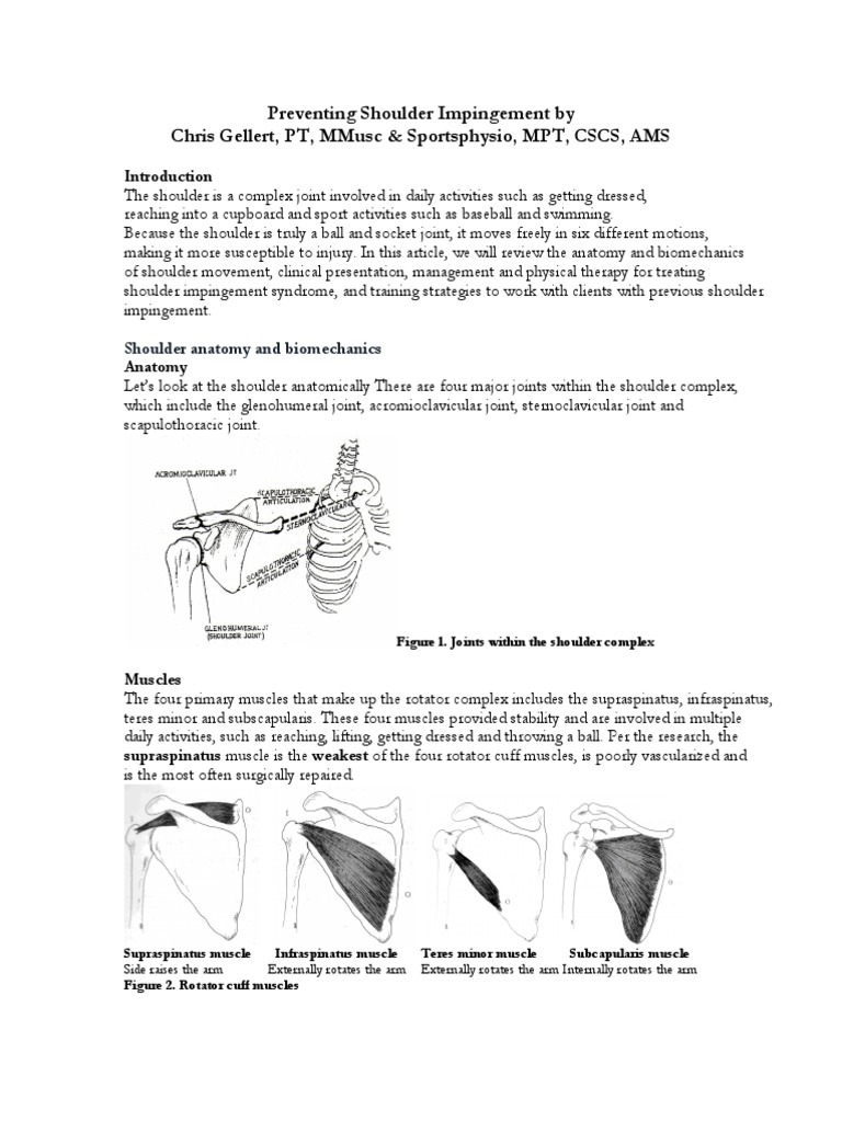 Shoulder Impingement 2015 Article | PDF | Shoulder | Limbs (Anatomy)