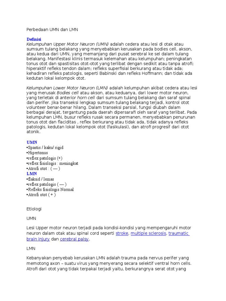 Perbedaan UMN Dan LMN | PDF