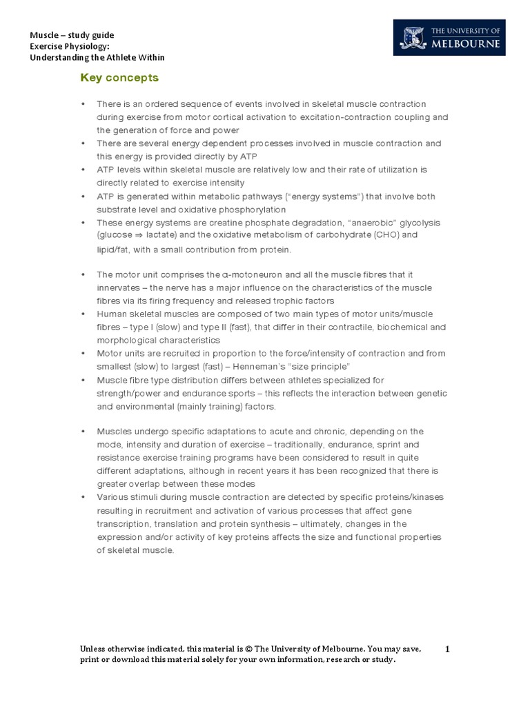Key Concepts: Muscle - Study Guide Exercise Physiology: Understanding ...