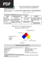 Manual de Uso de Sistema Octano | PDF | Tecnología