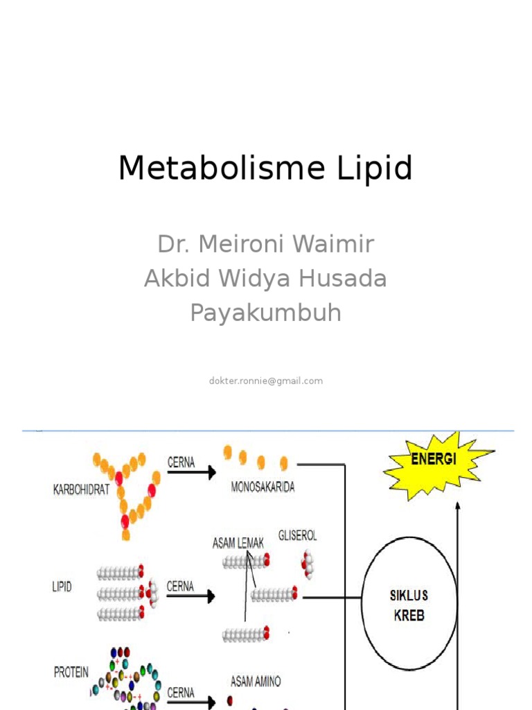 Metabolisme dan Jenis Lipid Manusia | PDF | Kesehatan Holistik