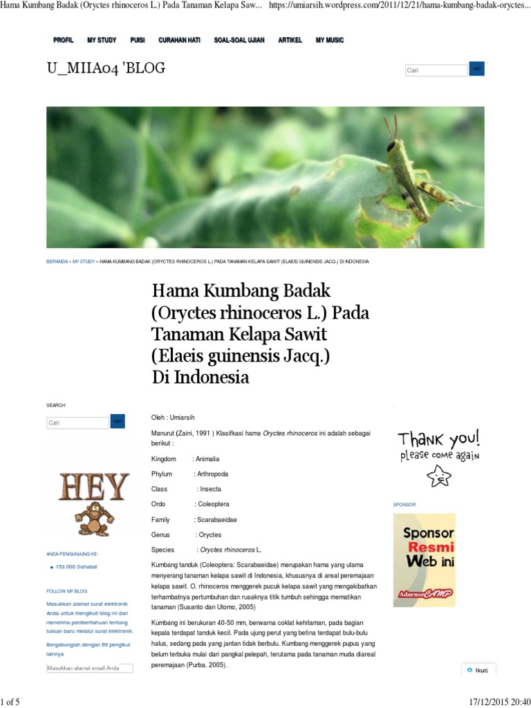 Hama Kumbang Badak (Oryctes Rhinoceros L.) Pada Tanaman Kelapa Sawit ...