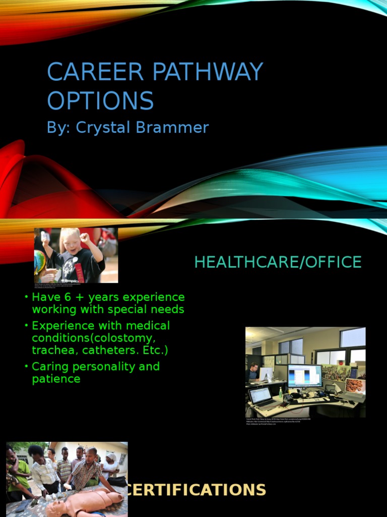 Career Pathway Options | PDF | Career & Growth