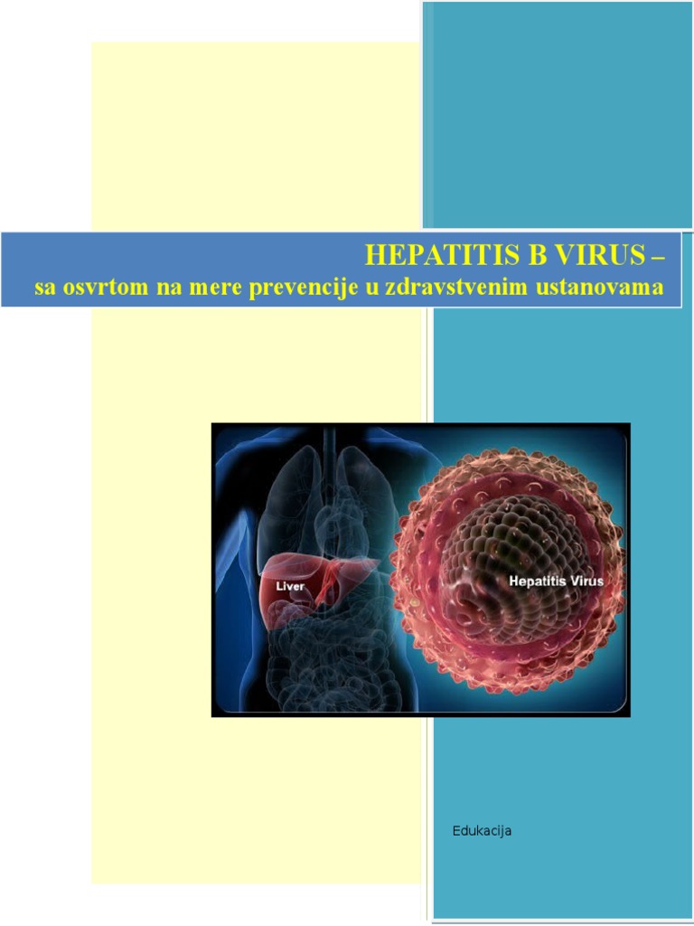 Hepatitis B | PDF