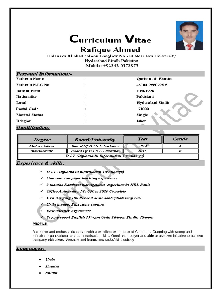 My CV | PDF