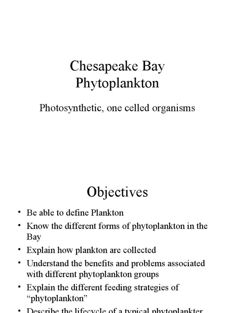 Chesapeake Bay Phytoplankton: Photosynthetic, One Celled Organisms ...