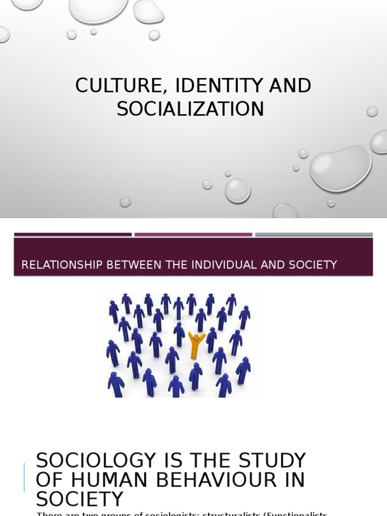 Culture, Identity and Socialization | PDF | Socialization | Sociology
