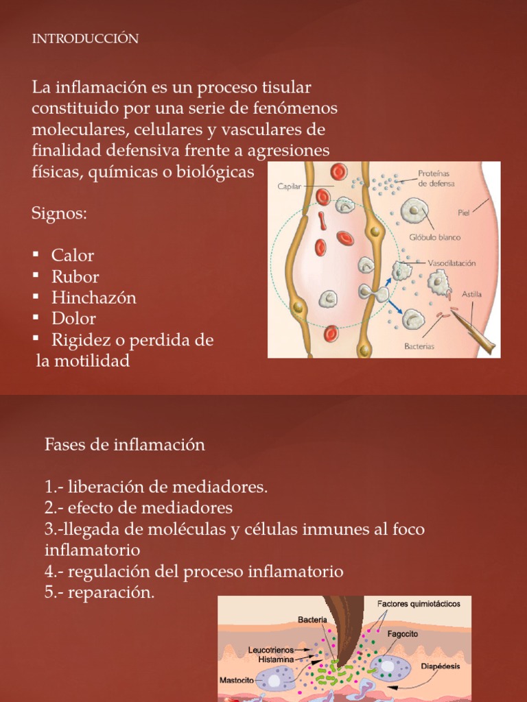 Presentación de proceso inflamatorio. | Sistema del complemento ...
