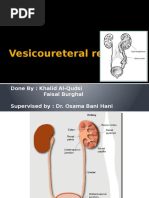 RGU and MCU PPT Final For 18.9.23, Bsmmu | PDF | Urinary System | Urology