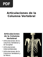 Articulaciones y Ligamentos de La Columna Vertebral | PDF