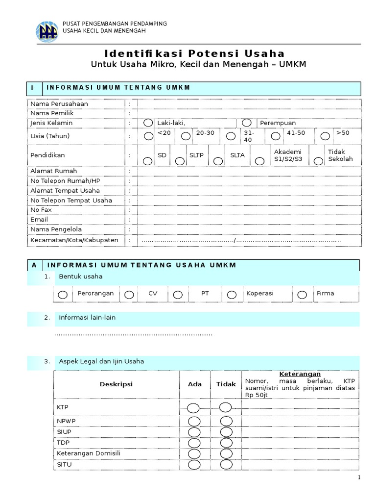 Form Identifikasi Umkm | PDF