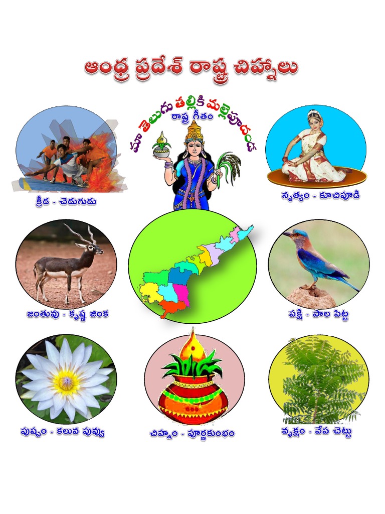 Andhra Pradesh State Symbols Telugu | PDF