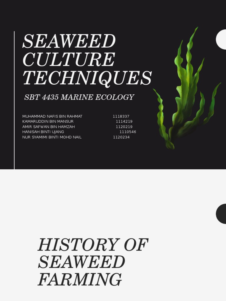 Seaweed Culture Techniques | PDF | Seaweed | Rope