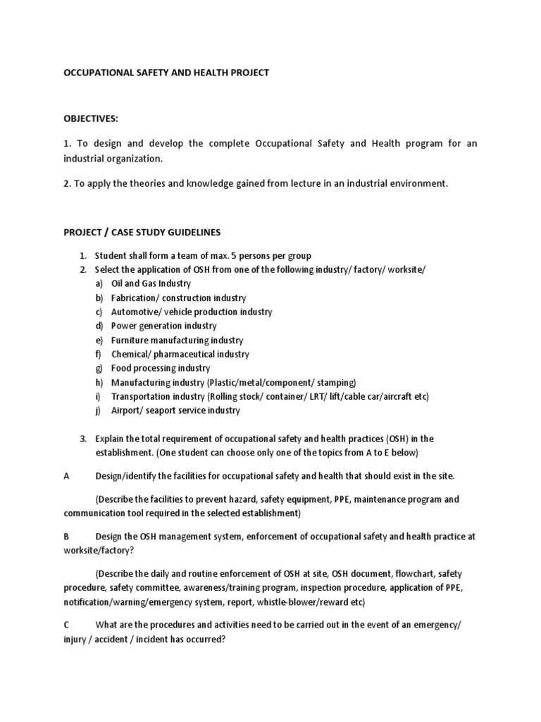 Mini Project Rubric | PDF | Occupational Safety And Health | Personal ...