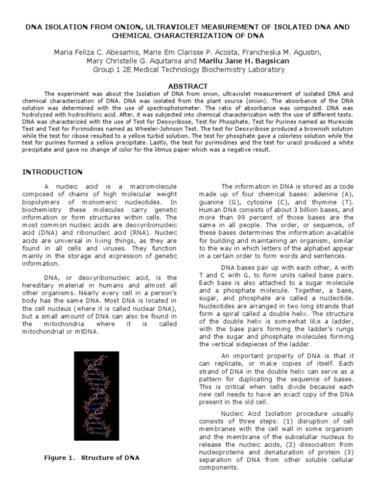 DNA Isolation From Onion, Ultraviolet Measurement of Isolated DNA and ...