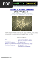 Echinoderms 3 | PDF
