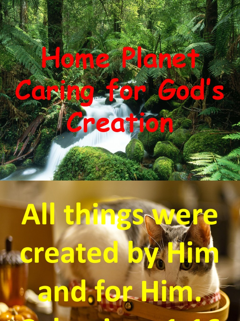 Caring for God's Creation | PDF | God | Theology