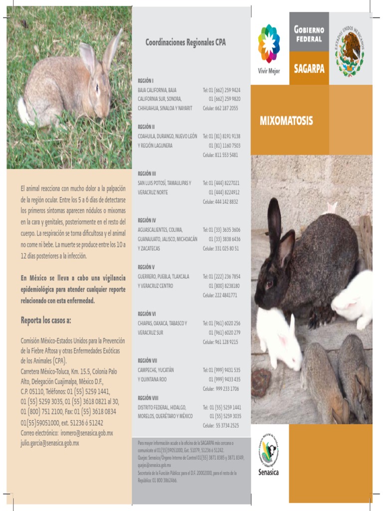 2010 Mixomatosis Senasica Mexico | PDF | México | Microbiología