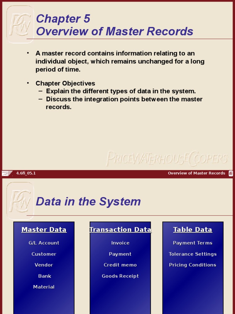 Master Records Overview Guide | PDF