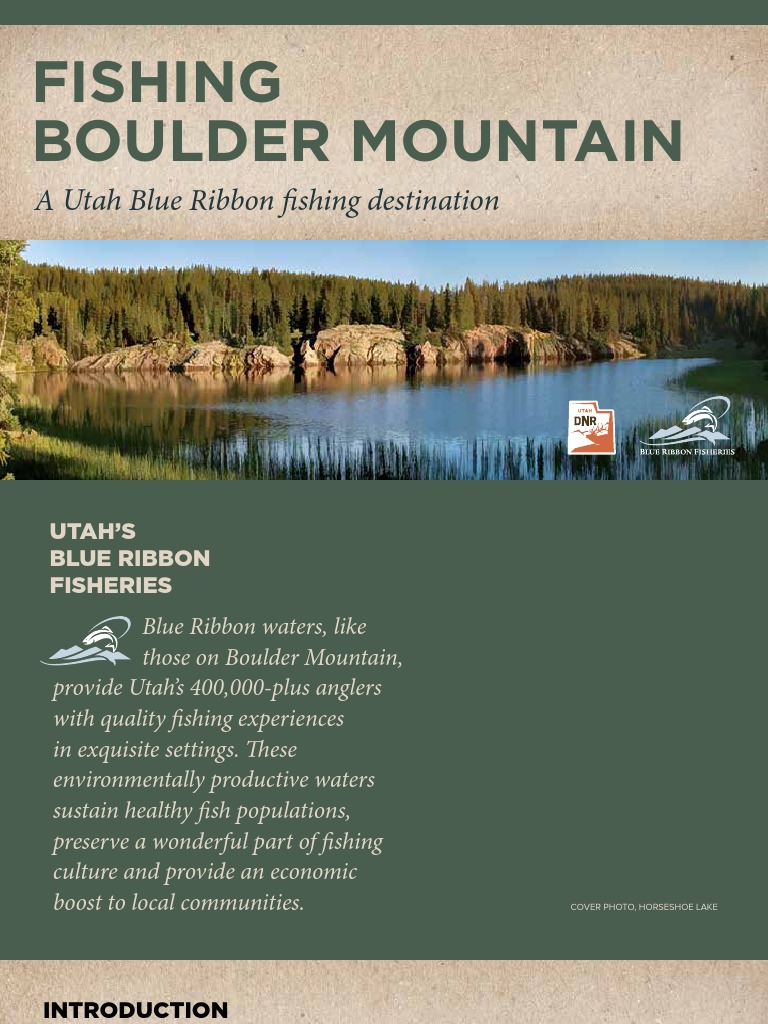 Fishing Boulder Mountain: A Utah Blue Ribbon Fishing Destination ...