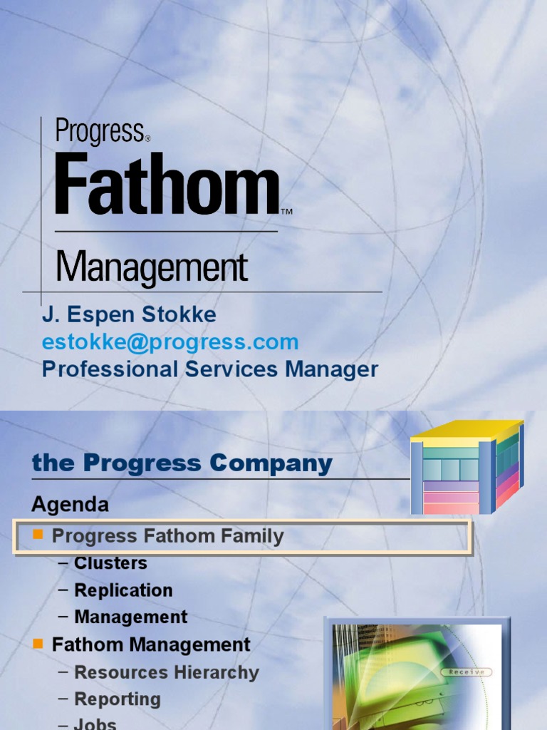 Fathom Management | PDF | Databases | Application Software