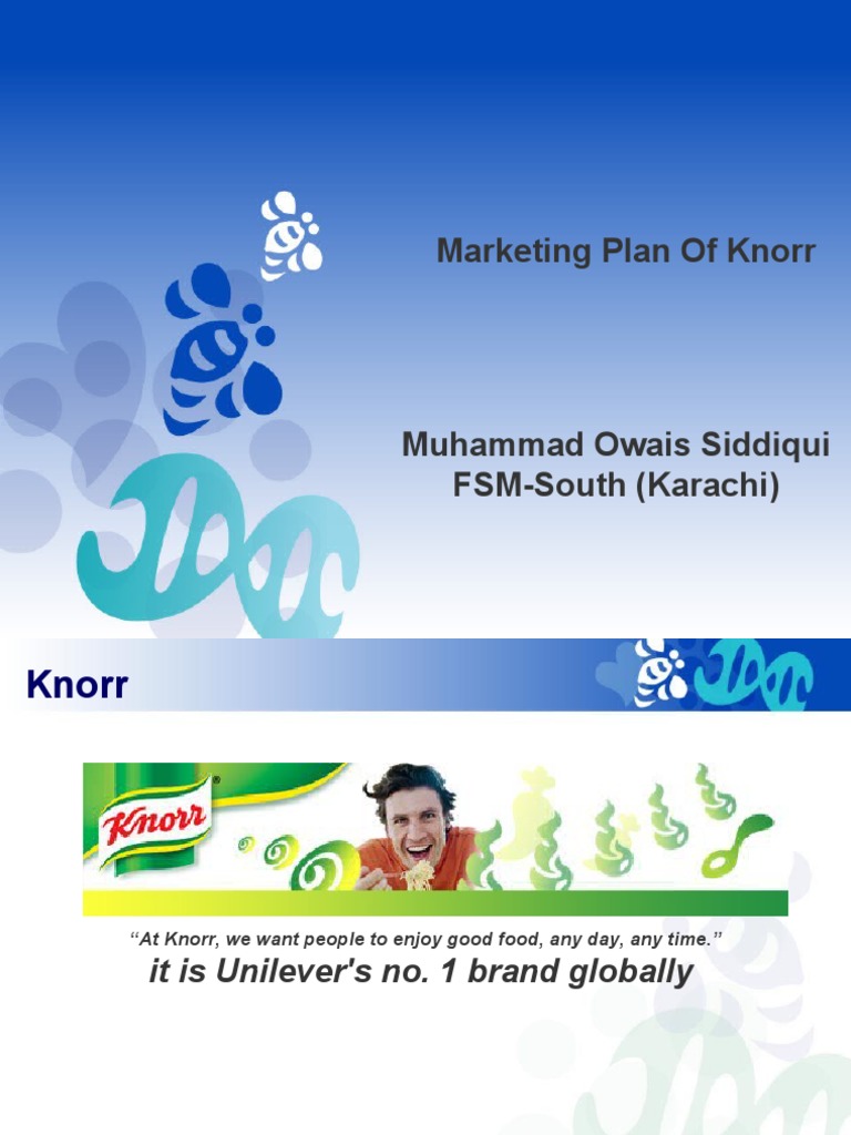 Marketing Plan of Knorr | PDF | Marketing