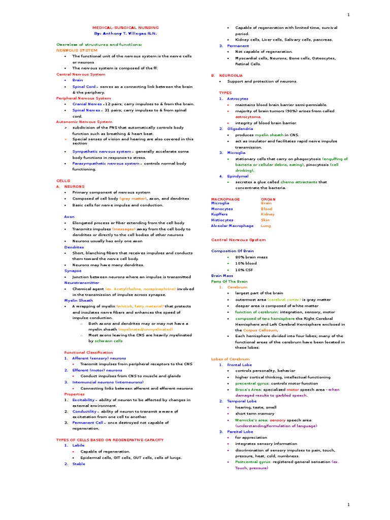 Medical Surgical Nursing Notes | PDF | Spinal Cord | Human Brain