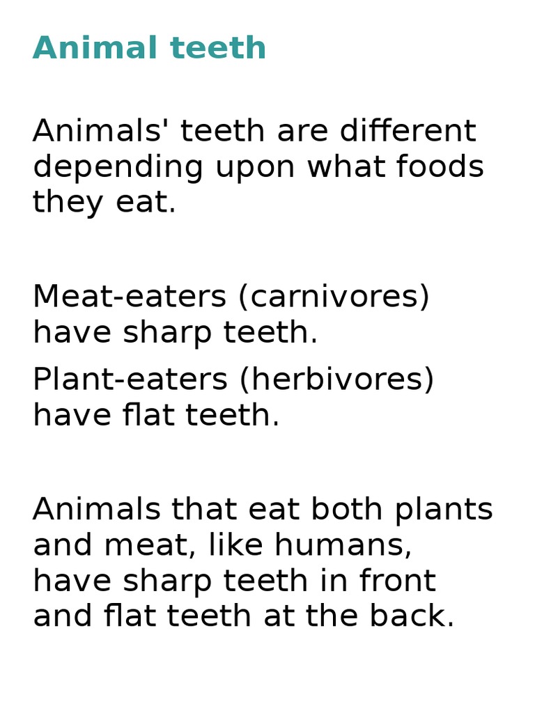 Types and Functions of Animal Teeth | PDF