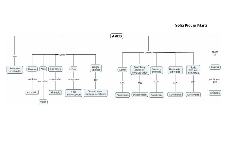Mapa Conceptual de Aves para Niños | PDF