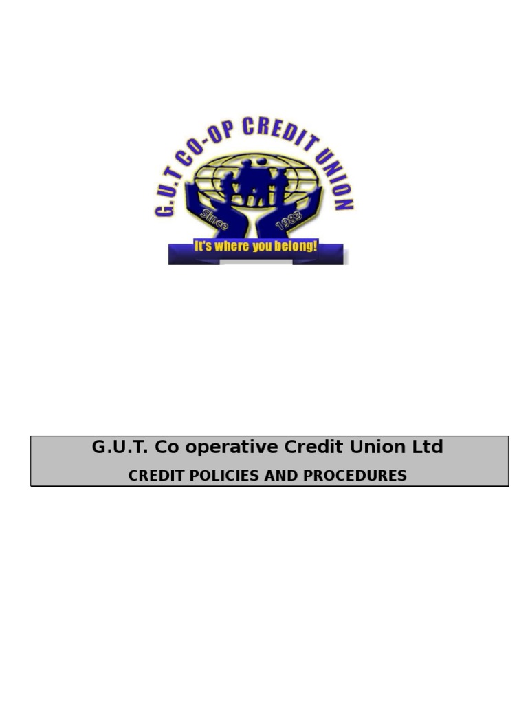 Credit Policies for Loan Borrowers | PDF | Loans | Credit (Finance)